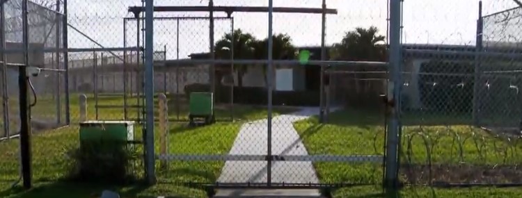 Martin County Jail, FL Inmate Search: Roster & Mugshots